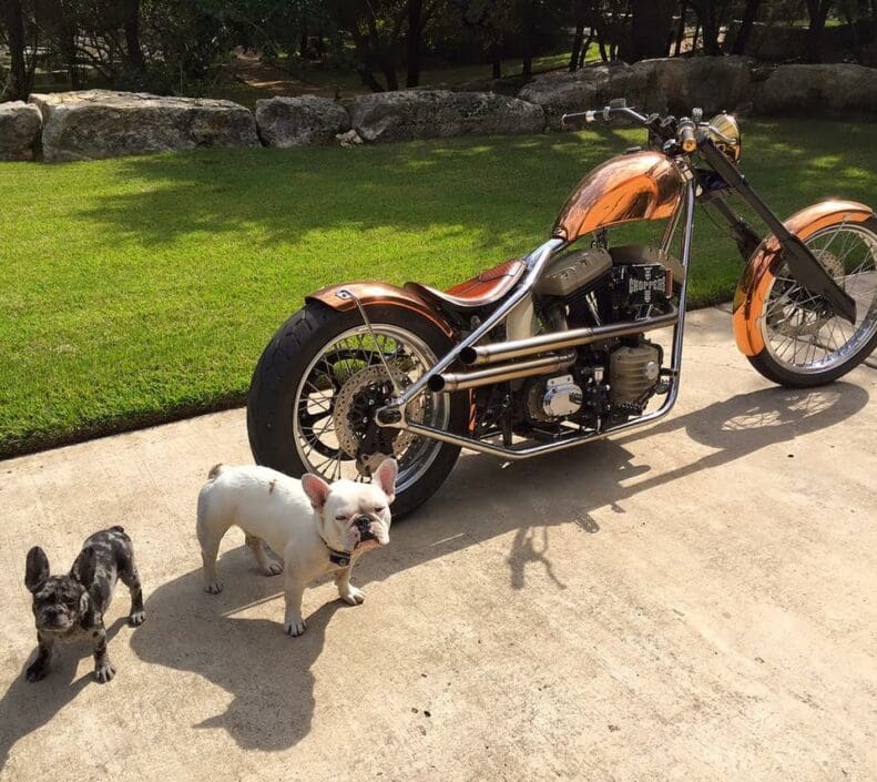 Sturgis 2015 built by West Coast Choppers - WCC of U.S.A.