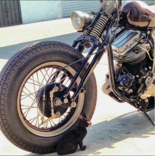 59 Panhead built by Kiyo's Garage of U.S.A.