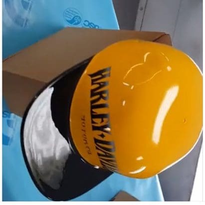 Mikes Pro Lids Review - webBikeWorld