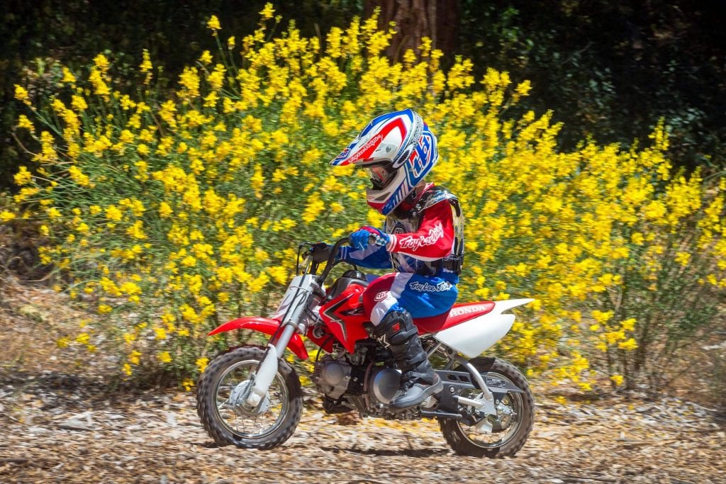 2020 Honda CRF50F [Specs & Info] | wBW