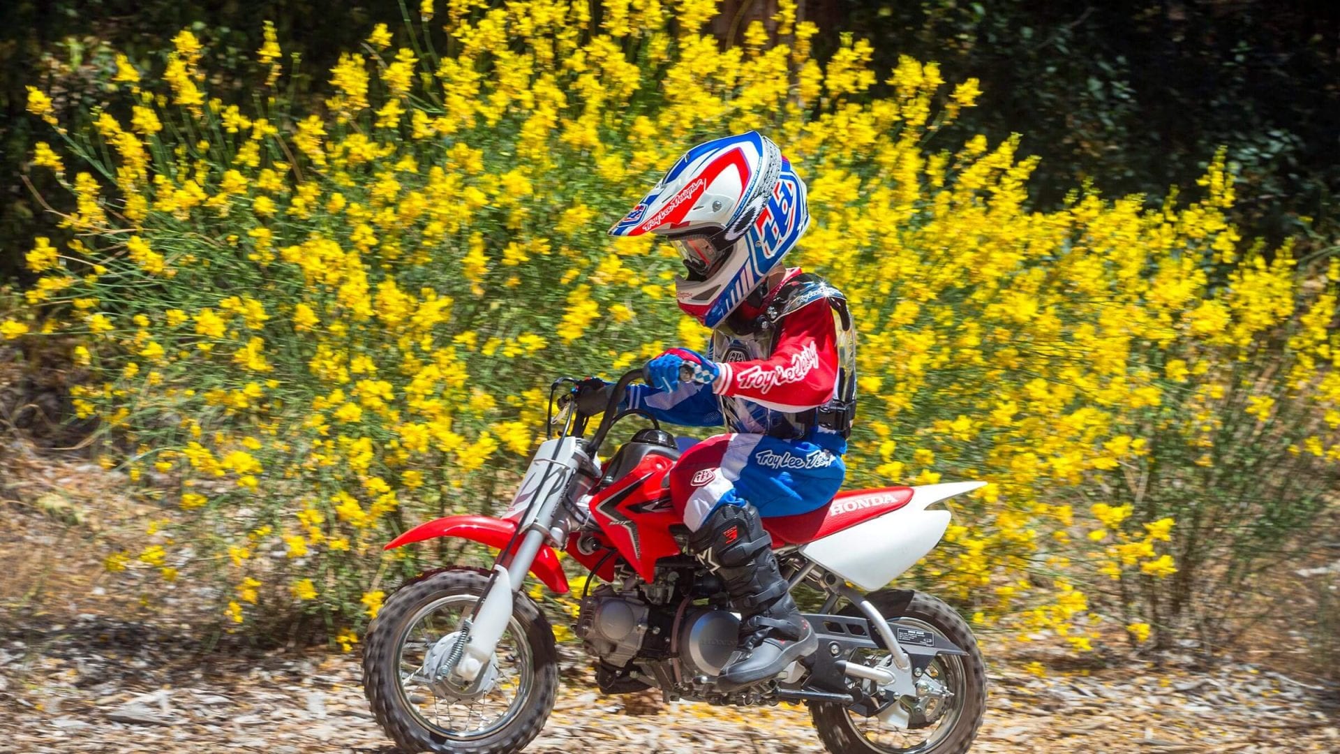 2020 Honda CRF50F [Specs & Info] | wBW