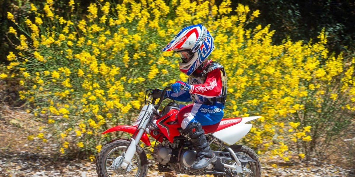 2020 Honda CRF50F [Specs & Info] | wBW