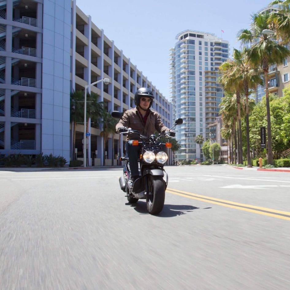 2020 Honda Ruckus [Specs & Info] | wBW