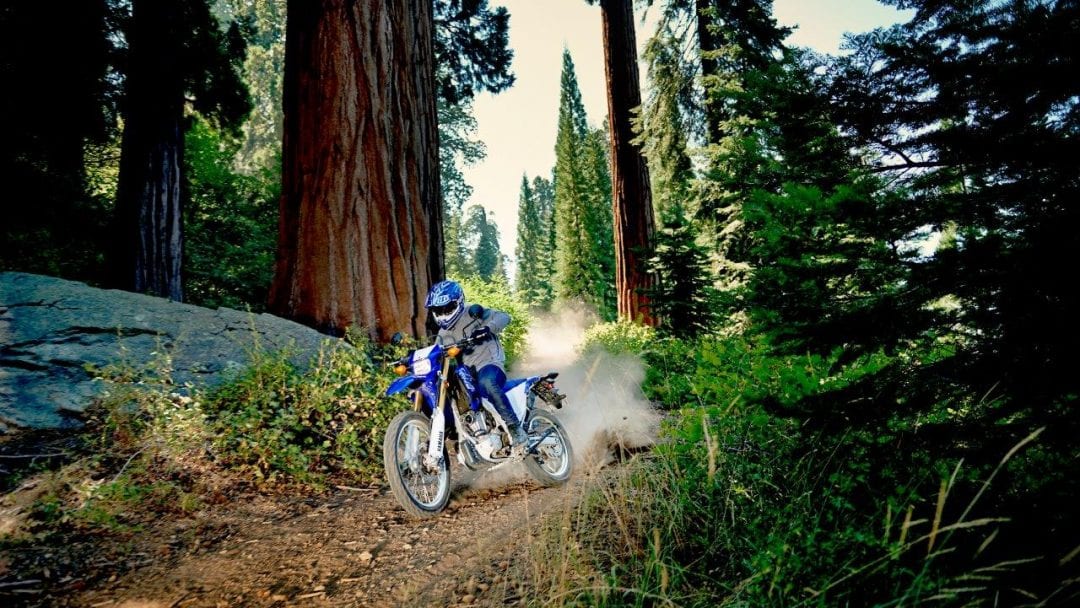 2020 Yamaha WR250R [Specs & Info] | wBW