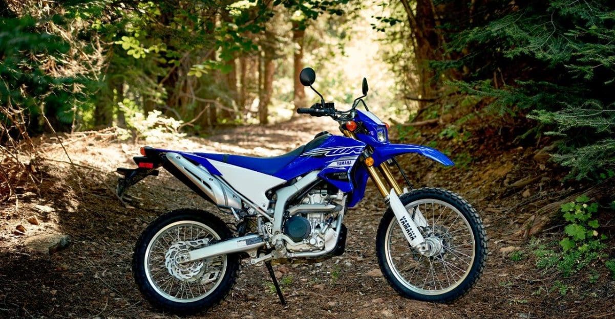 2020 Yamaha WR250R [Specs & Info] | wBW