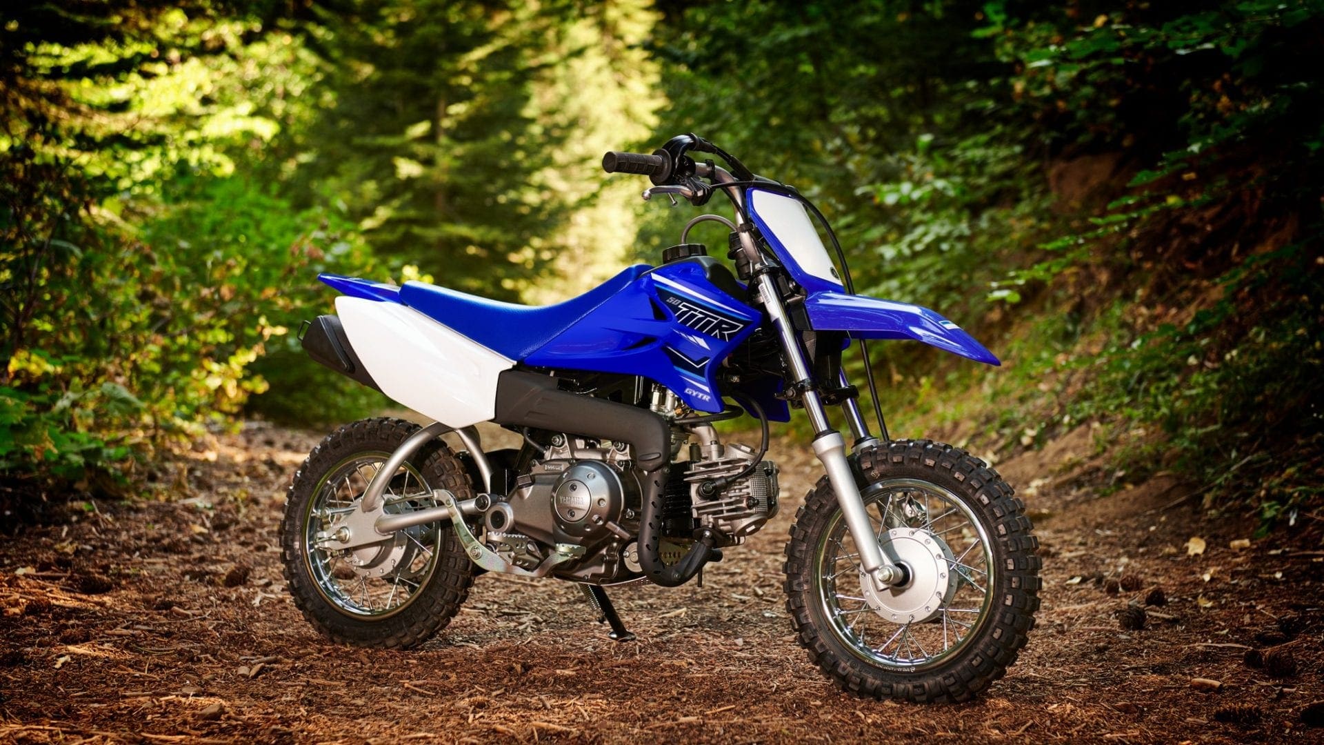 2021 Yamaha TT-R50E [Specs, Features, Photos] | wBW