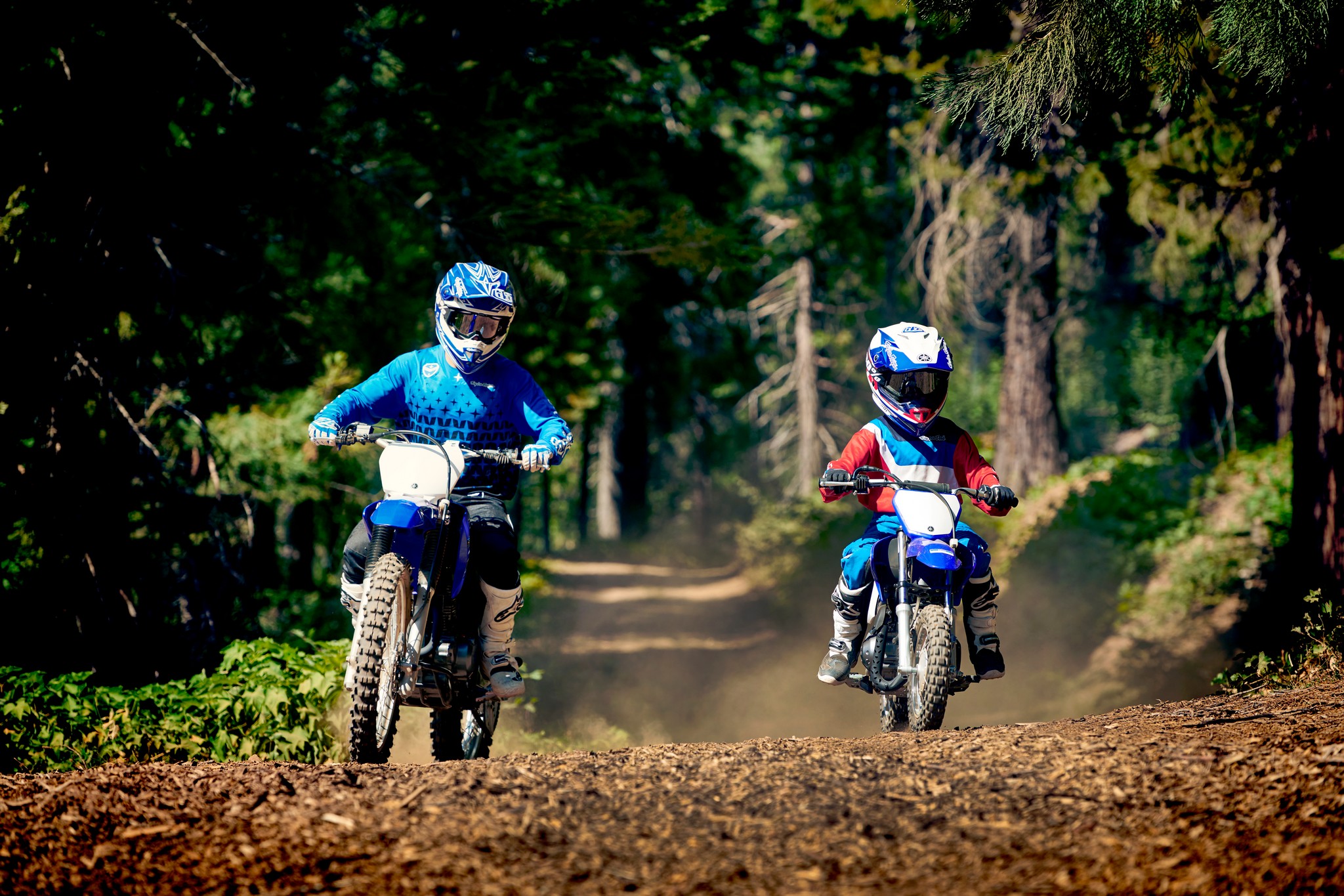 2021 Yamaha TT-R50E [Model Overview] – Robert's Adventure