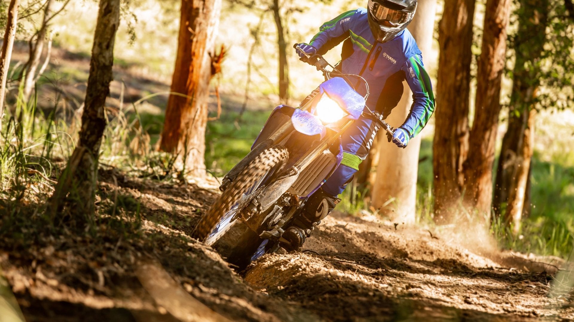 2021 Yamaha WR250F [Specs, Features, Photos] | wBW