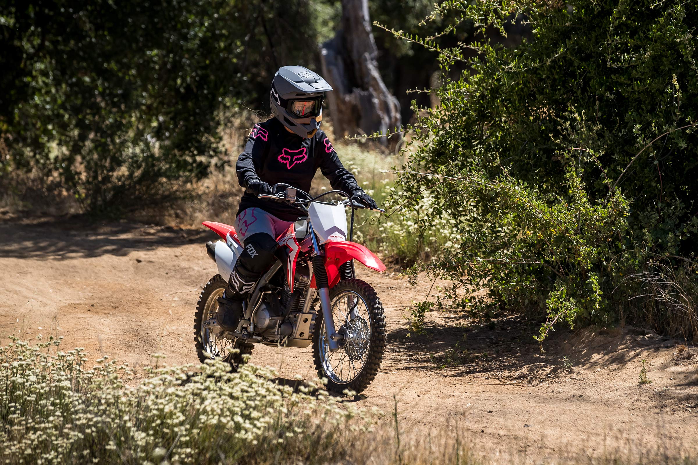 2021 Honda CRF125F Model Overview Robert s Adventure 2021 Honda CRF125F Model Overview Robert s Adventure
