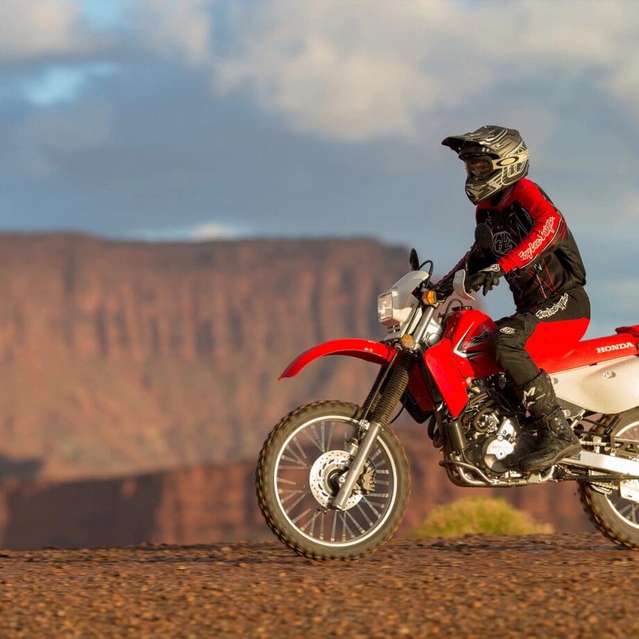 2021 Honda XR650L [Specs, Features, Photos] | wBW