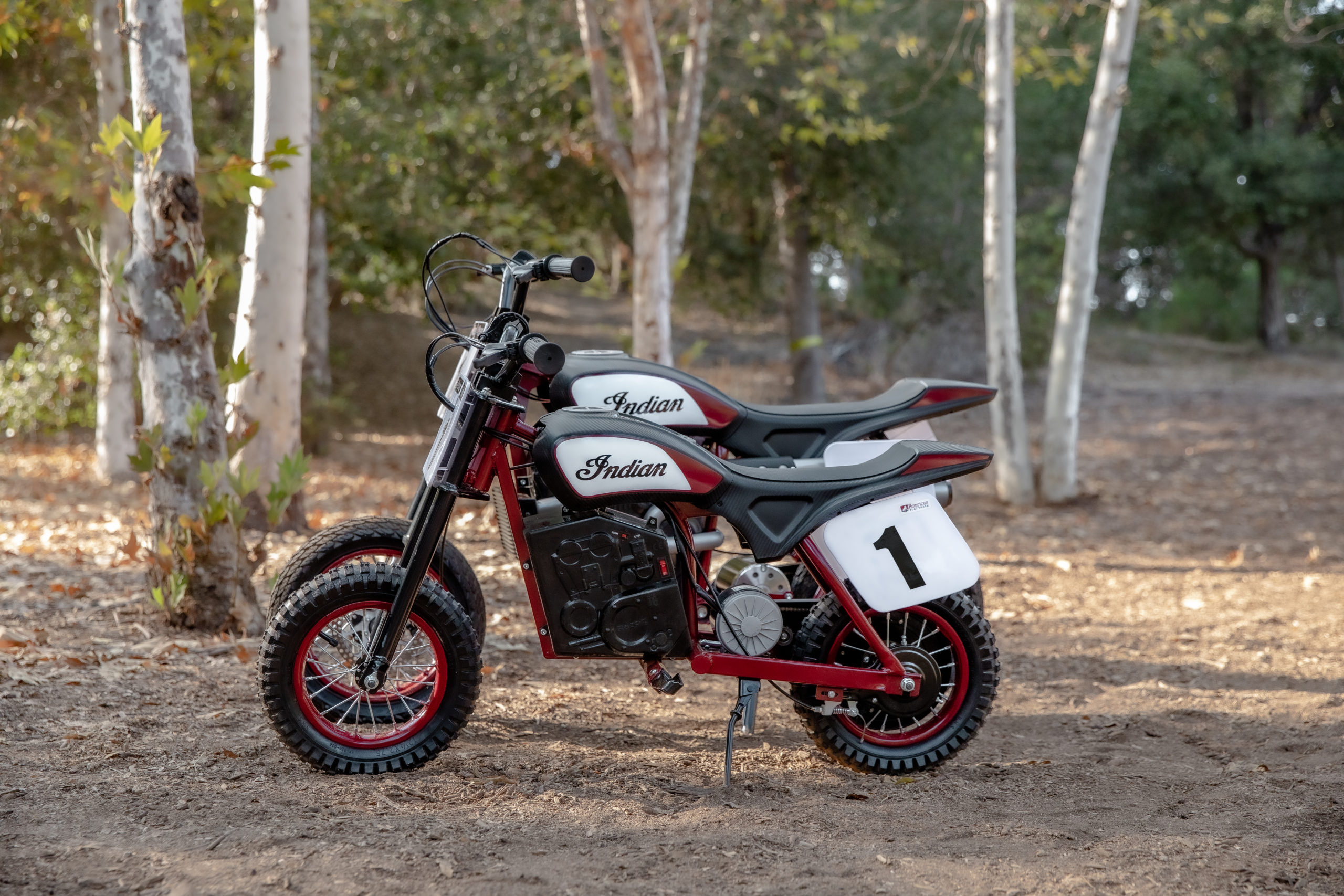 Indian Introduces the eFTR Mini: An Electric Motorcycle for the Mini ...
