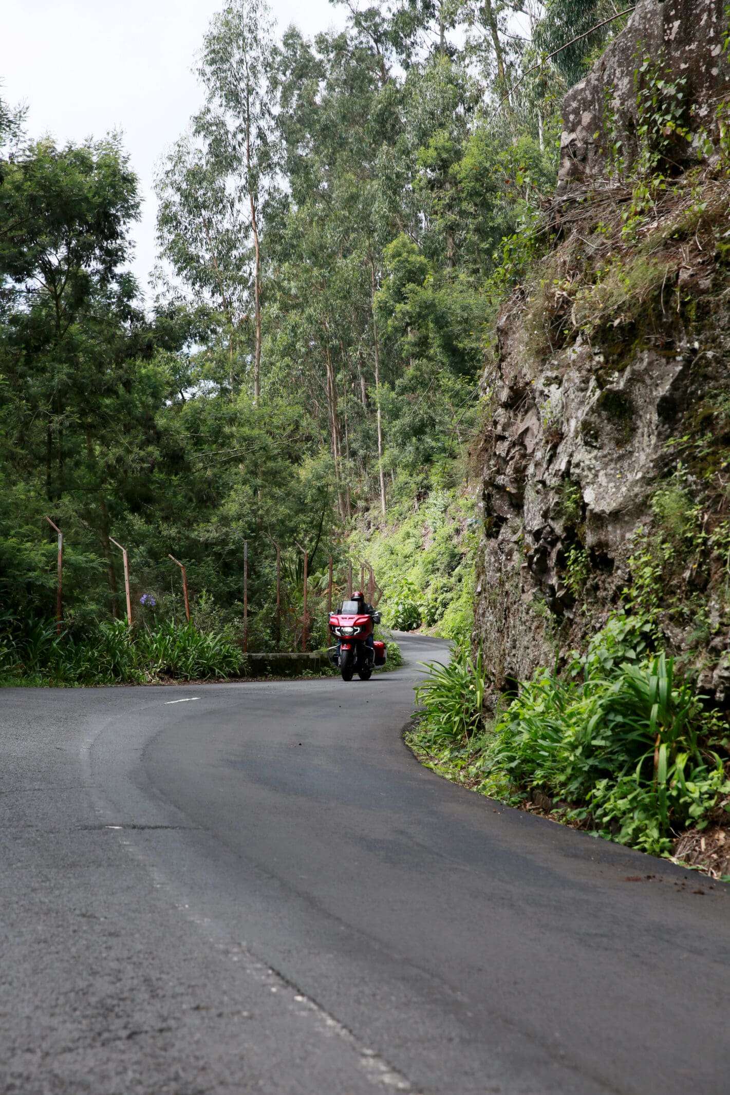 Madeira: Indian Motorcycle Partners with 7M Rides for Rentals ...