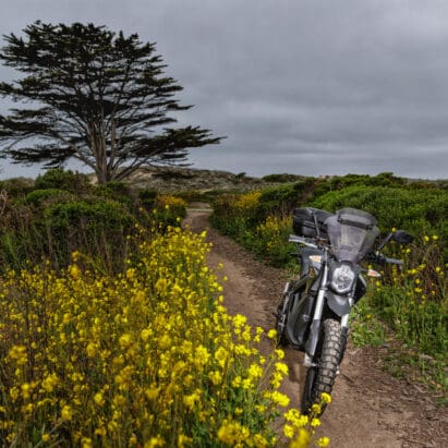 Doubletake Adventure Mirror Review - webBikeWorld