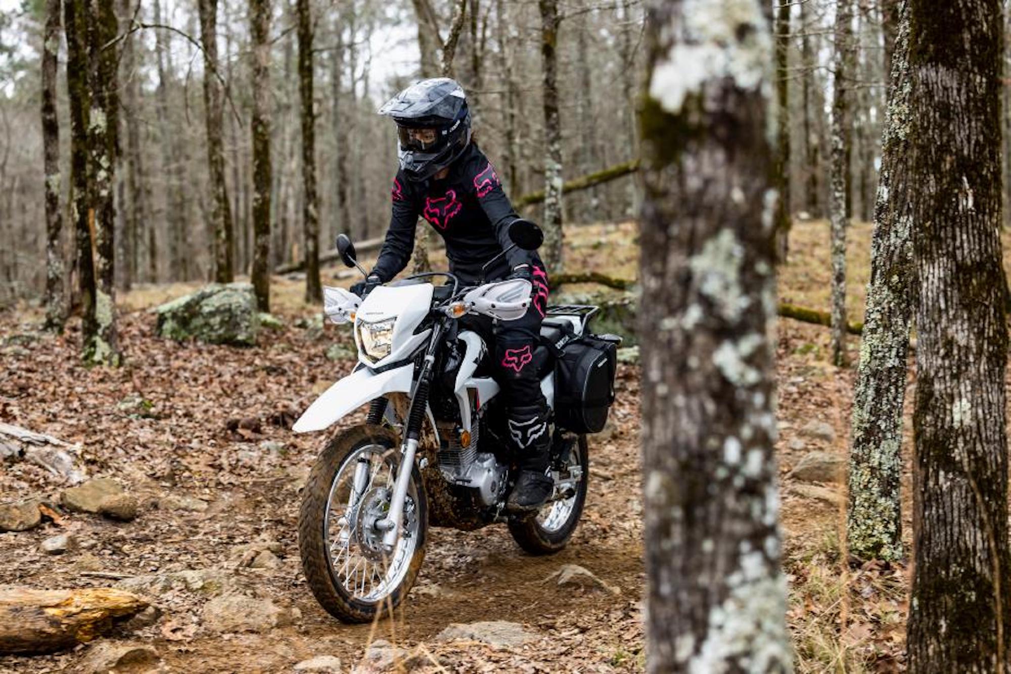 Honda: Meet the All-New XR150L - webBikeWorld