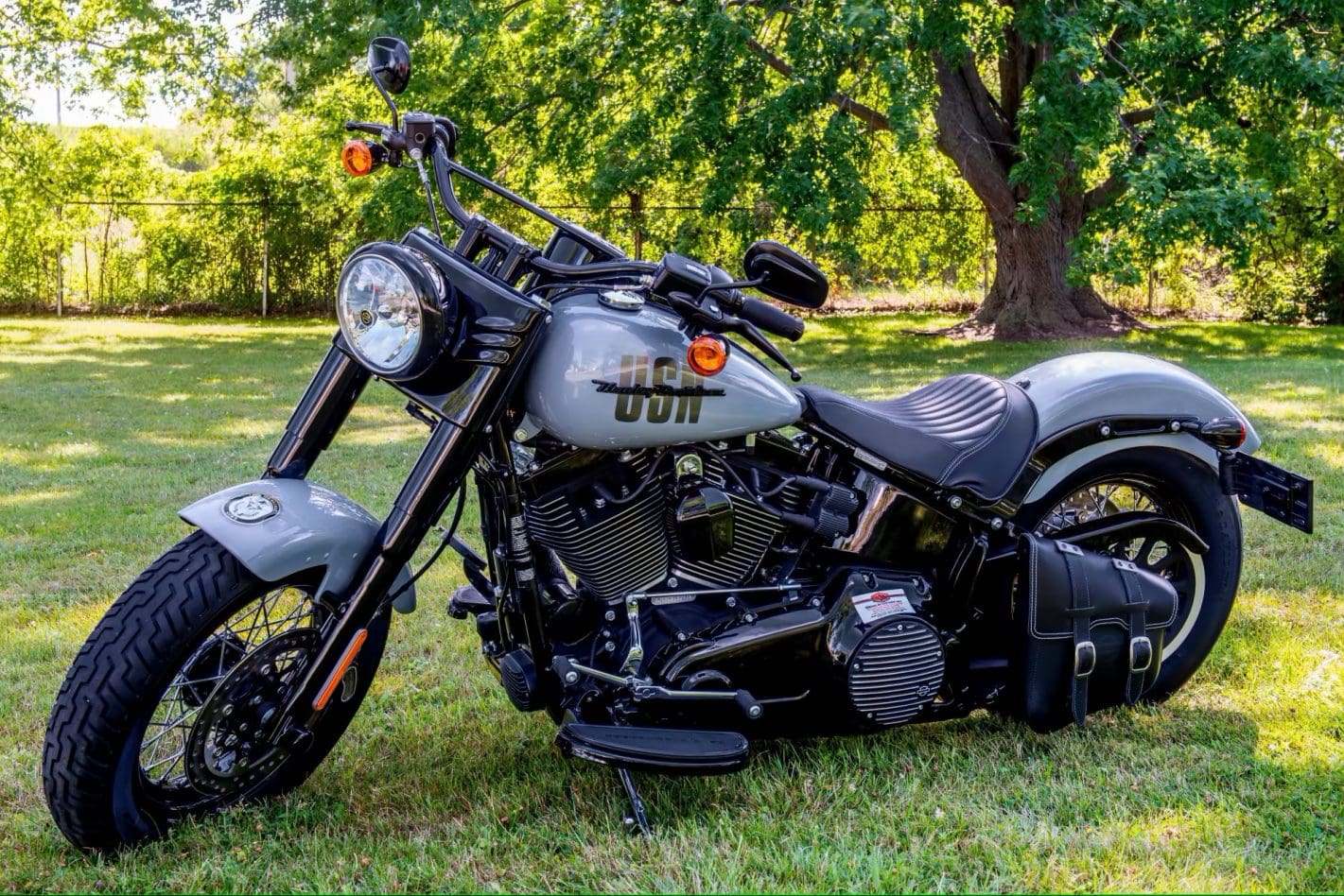 Bike Of The Day: 2016 Harley-Davidson Softtail Slim S Custom - webBikeWorld