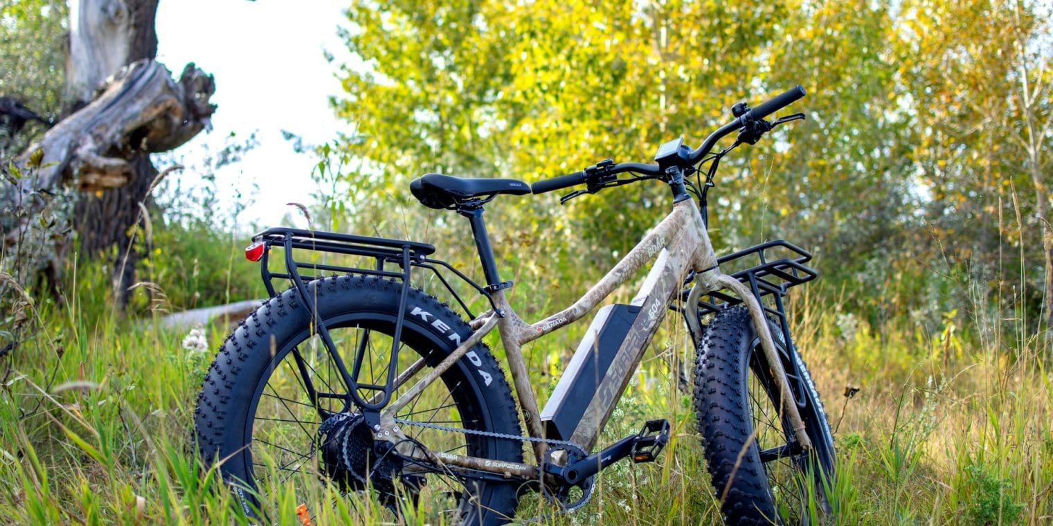 The Best eBikes Under $5,000 [2024 Edition] - webBikeWorld