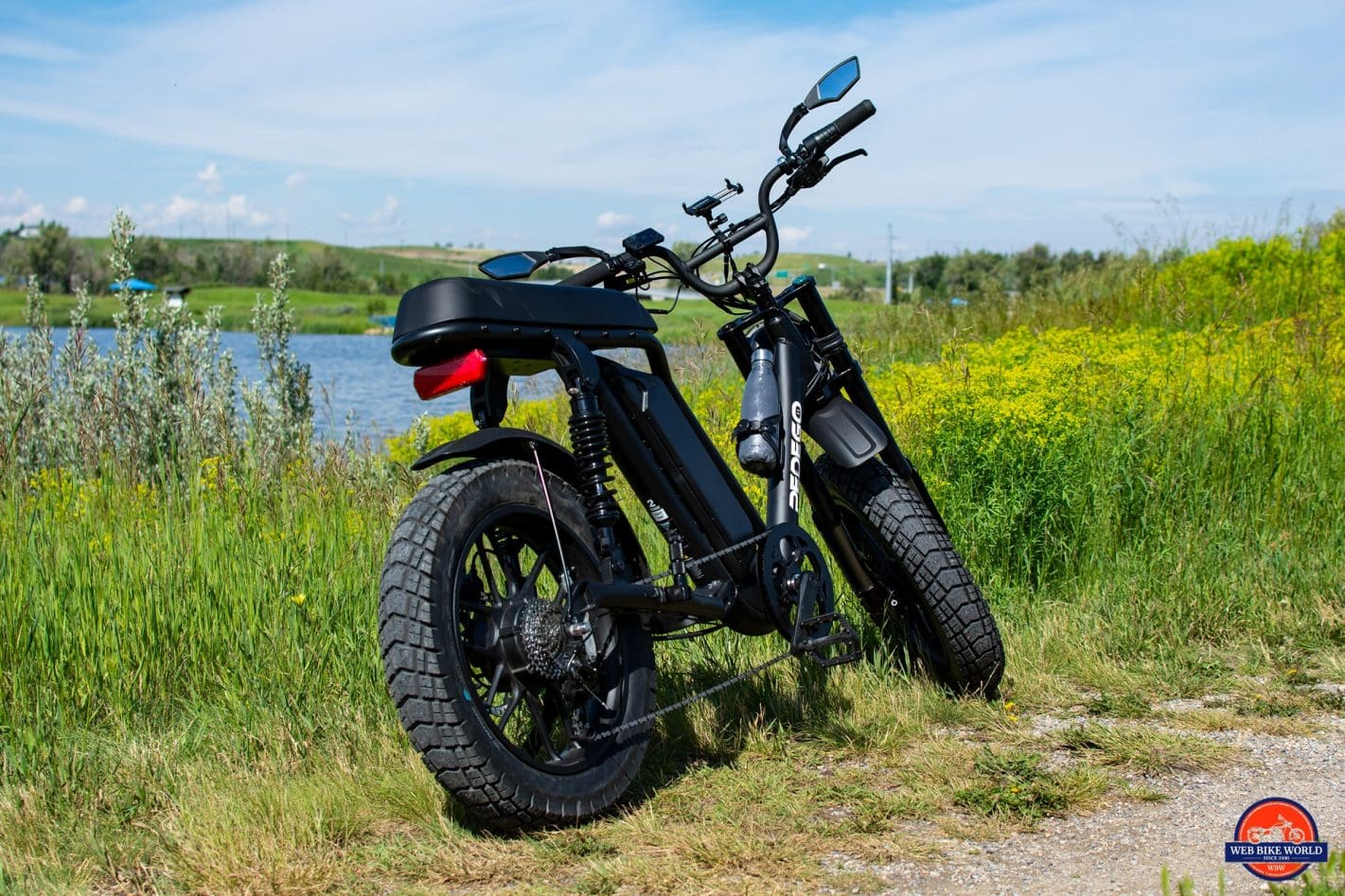 2024 Pedego Moto eBike Review - webBikeWorld